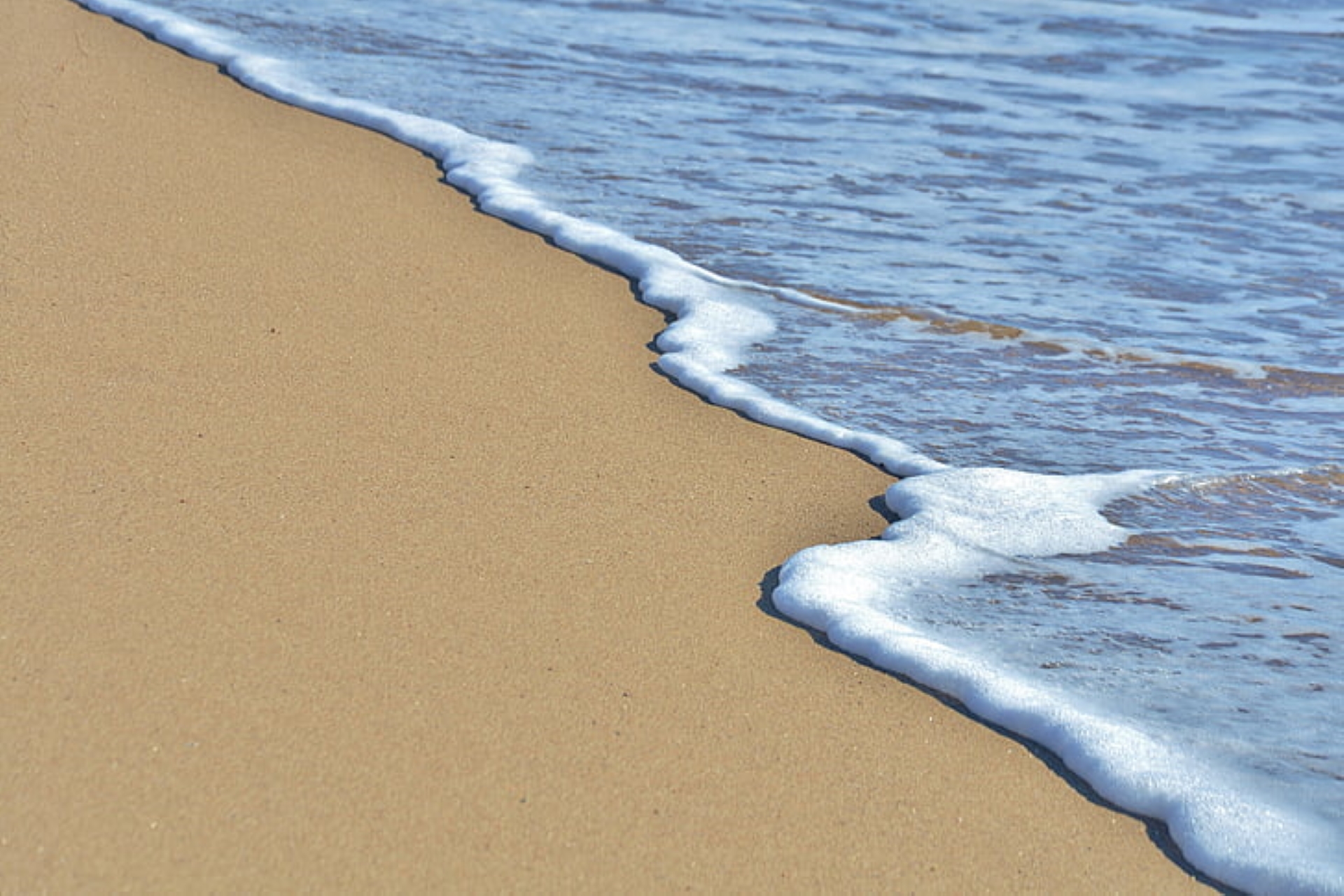 Your Beach - Sandringham Lifesaving Club
