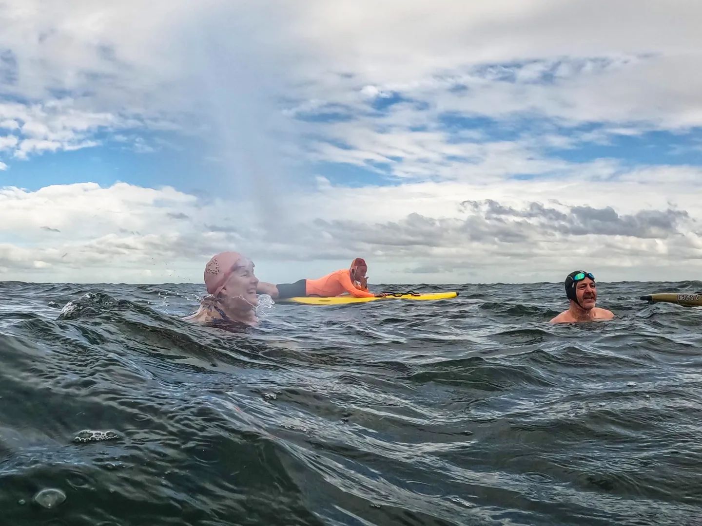 Swimming – Sandringham Life Saving Club